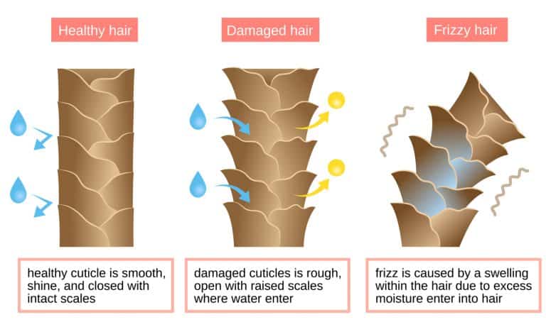 The Best Ways to Treat Heat-Damaged Hair - thehairpoint.com